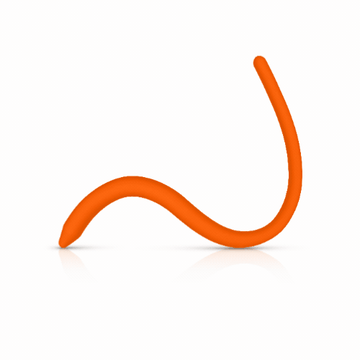 Pelvic Care Products – The Pelvic Hub